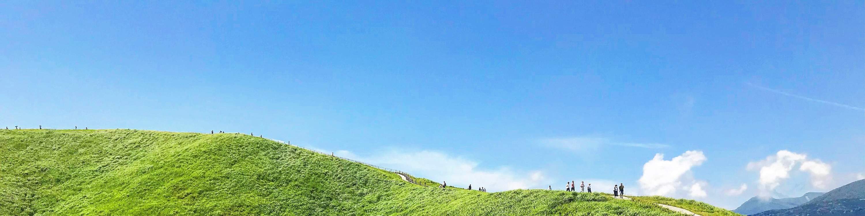 Mt. Fuji, Kamakura, Atami, and Fireworks 2-Day Cruise (Departs from ...