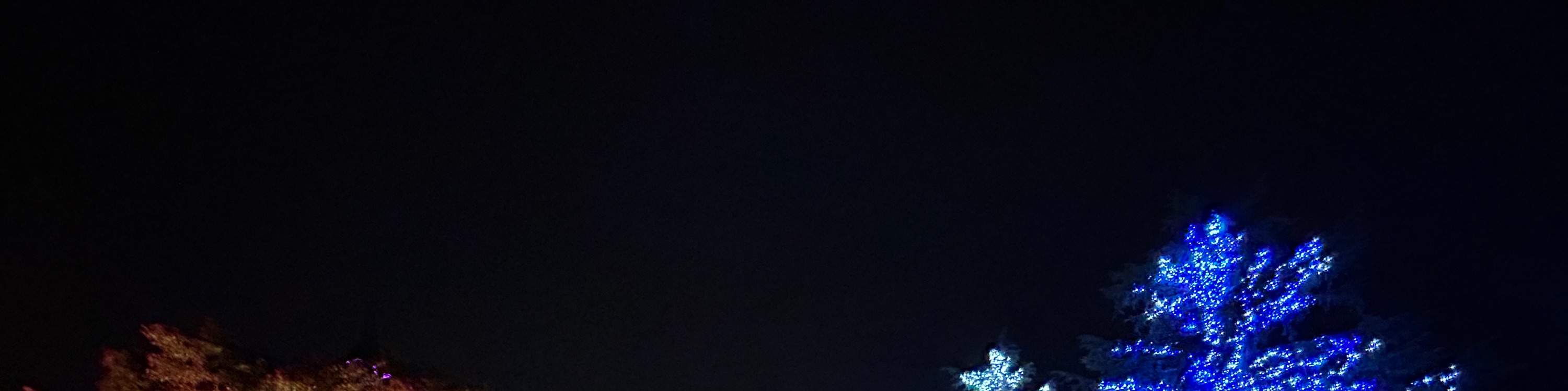 Nagashima Mitsu Outlet & Nabana no Sato Winter Illumination Bus Tour - Klook