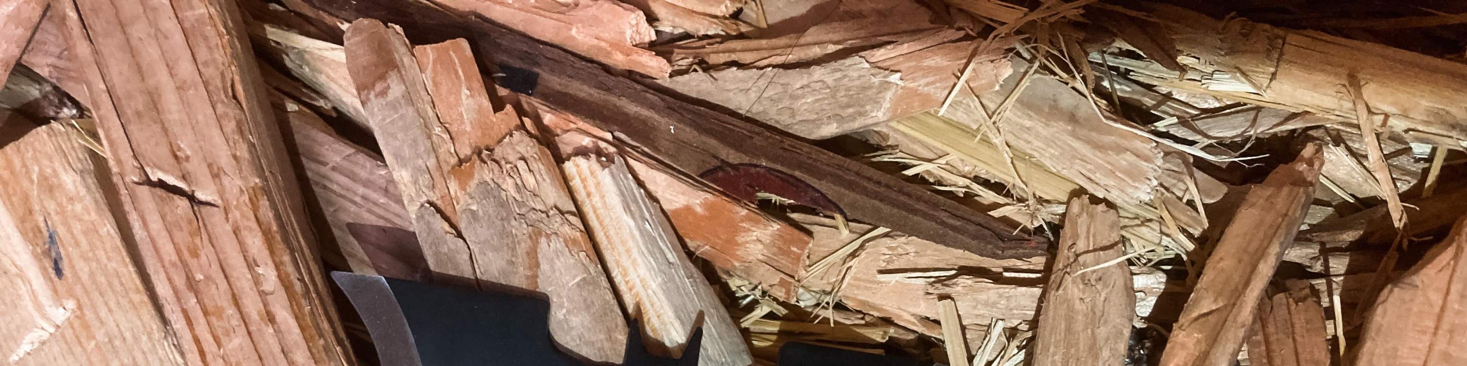 Stress-Relieving di Reeast Room, Tokyo - Klook Indonesia