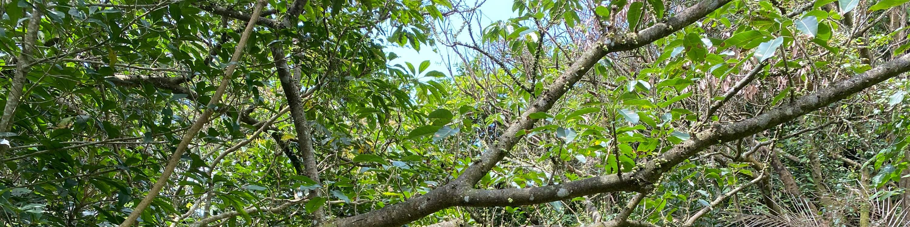 New Taipei: Northeast Coast | Bitou Cape Park & Sandiaojiao Lighthouse ...