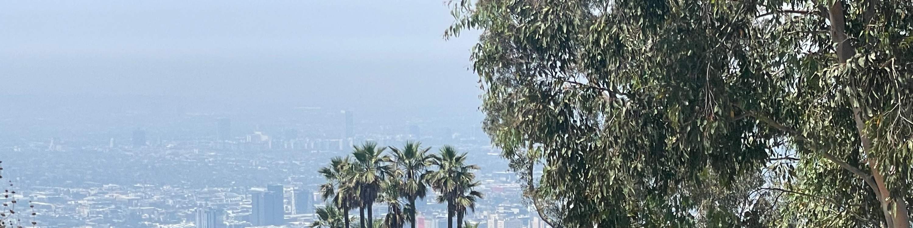Los Angeles Griffith Observatory Half Day Hiking Tour - Klook