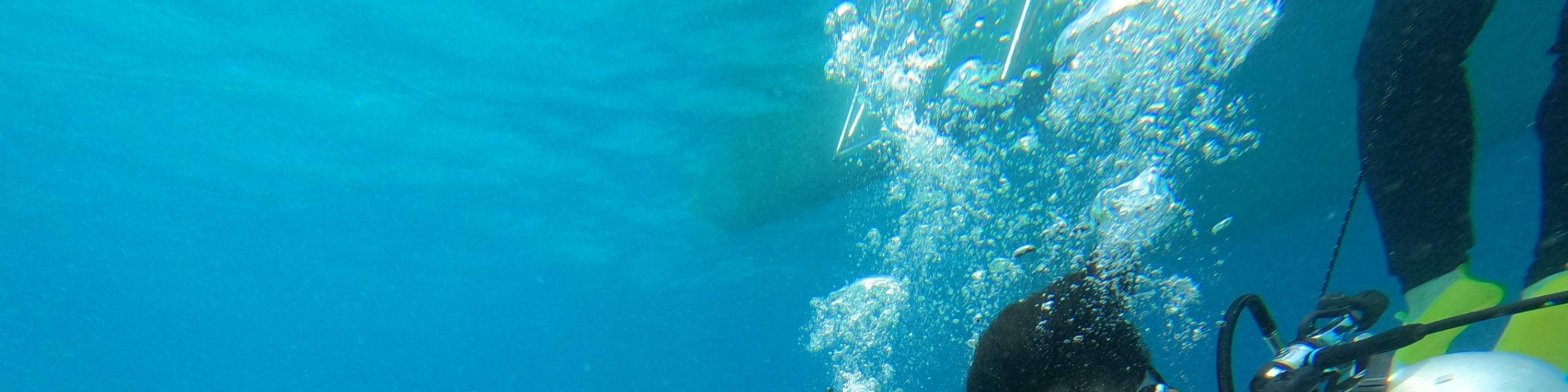 Pengalaman Menyelam SCUBA yang Tak Terlupakan di Cebu - Tidak Perlu ...