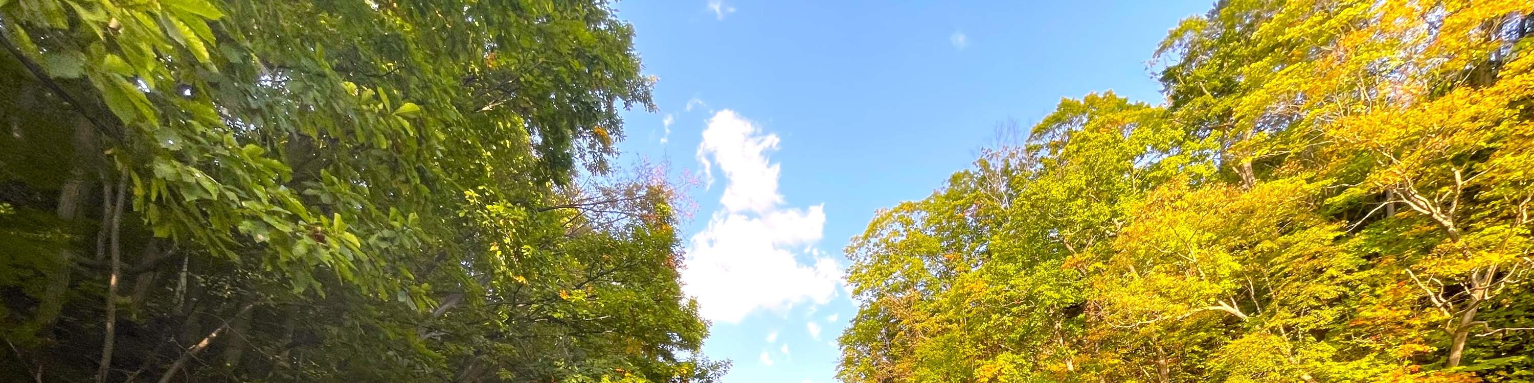 Jozankei Autumn Leaves Appreciation SUP Experience (Hokkaido) - Klook ...