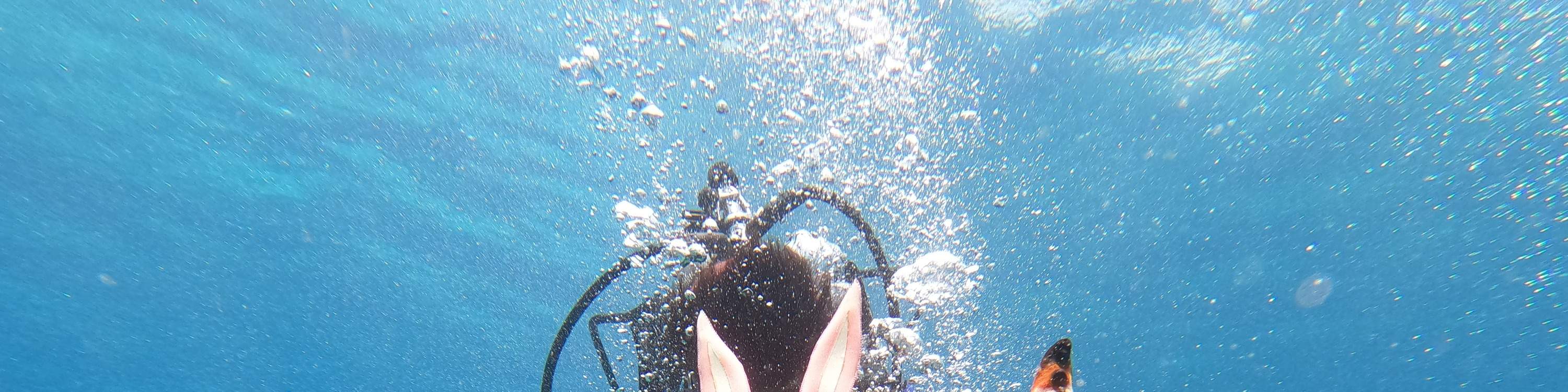 Explore Thrills: Mactan Water Sports Experience Package in Cebu with ...