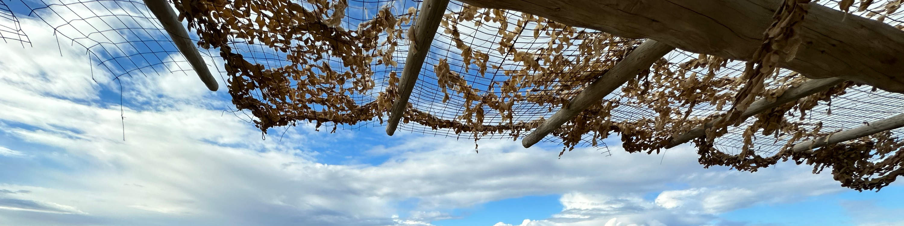 Explore Zakynthos with our Premium 4x4 Sunset Escape - Klook