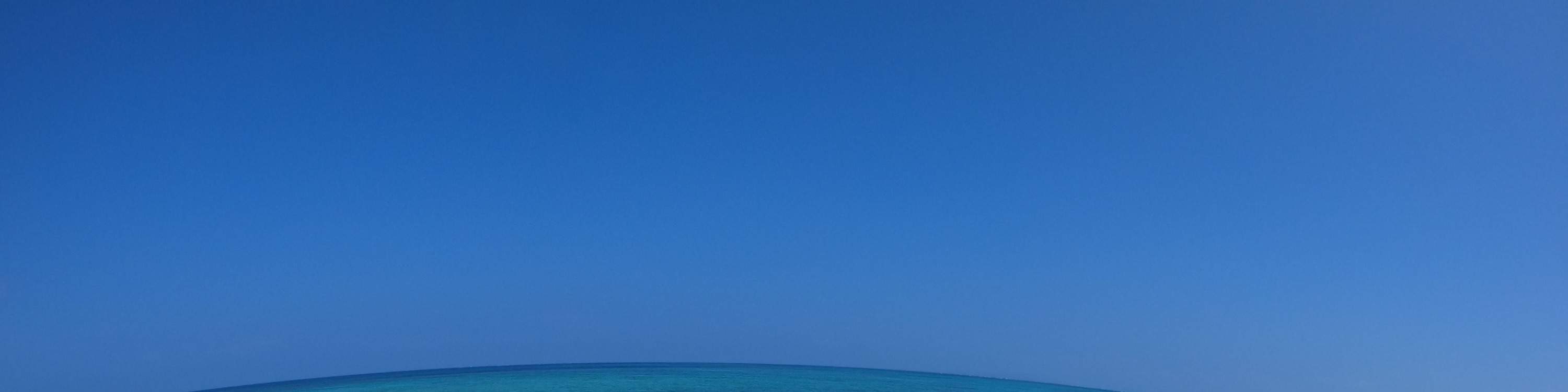 Đảo Iriomote/Nửa ngày Trải nghiệm lặn biển bằng ống thở trên thuyền ở ...