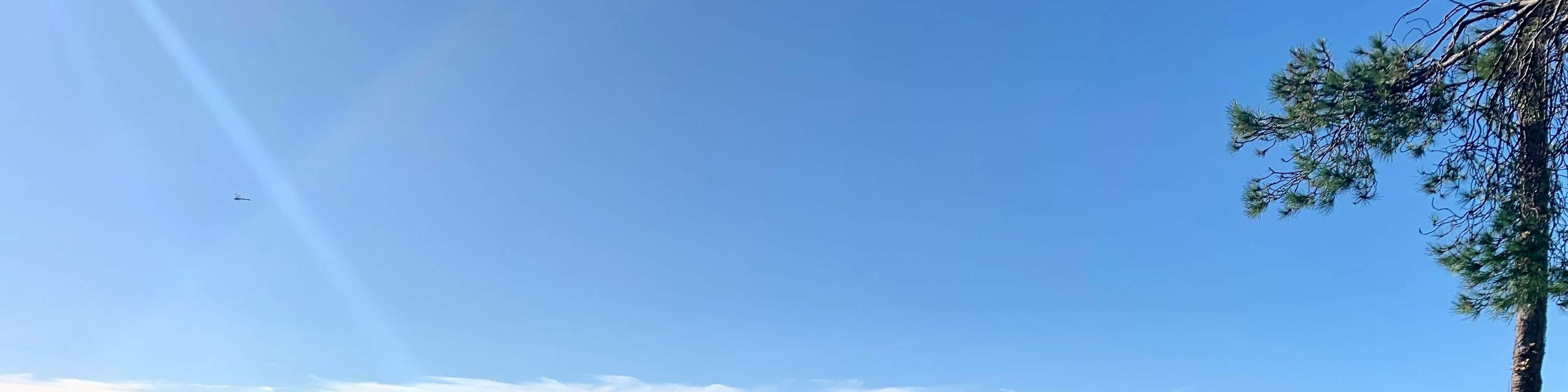 Sydney's Northern Beaches and Ku-ring-gai National Park Bus Tour ...