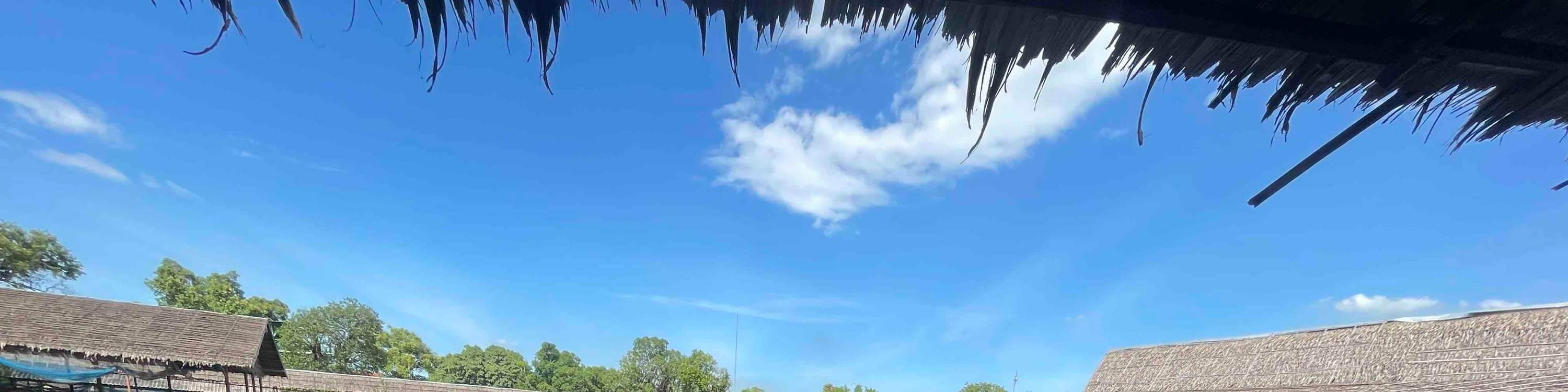 Day tour Buffalo village, Celestial town, fortune cat temple &market ...