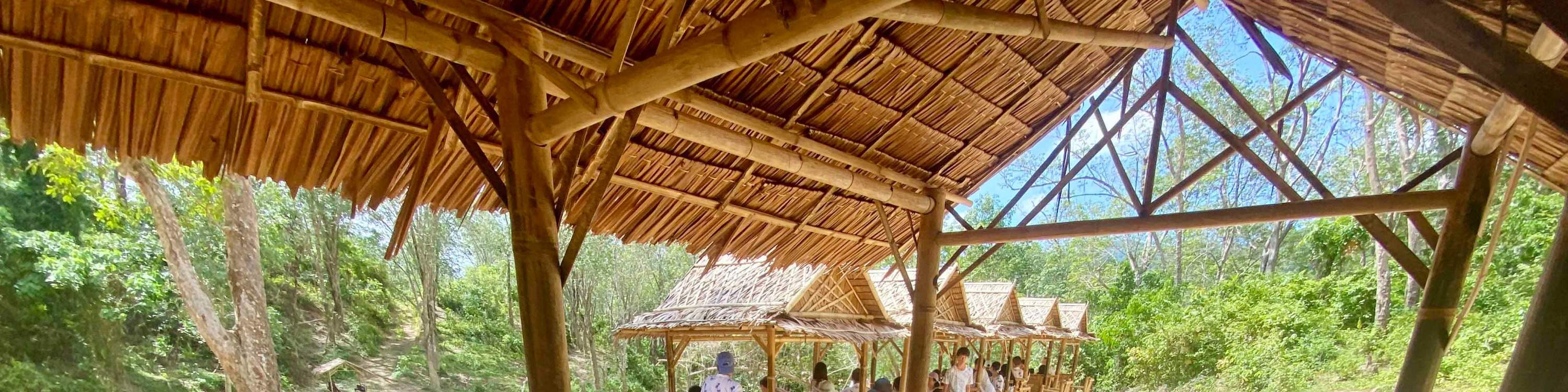 Join In Phuket Hidden Forest Elephant Reserve Sanctuary Experience in ...