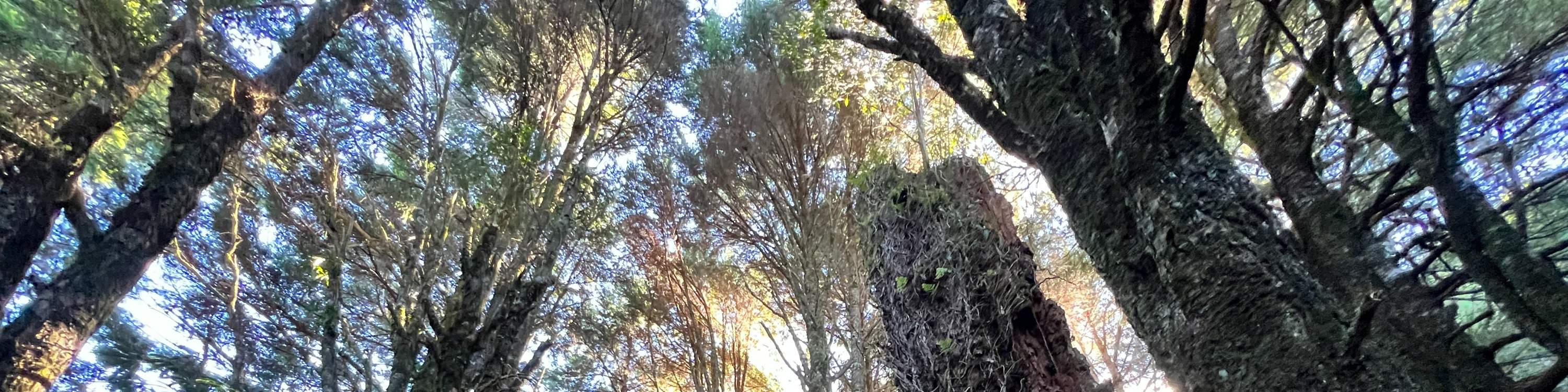 Nanheng Three-Star Mountaineering Tour: Taguan Mountain & Guanshanling ...