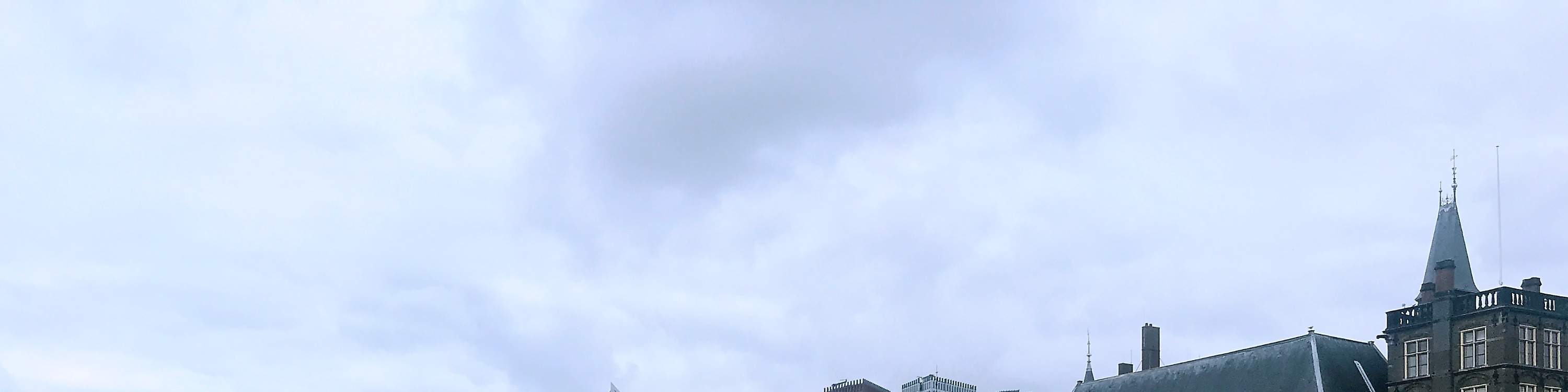 Day Tour to Rotterdam, Delft, The Hague with Royal Delft Museum Visit ...