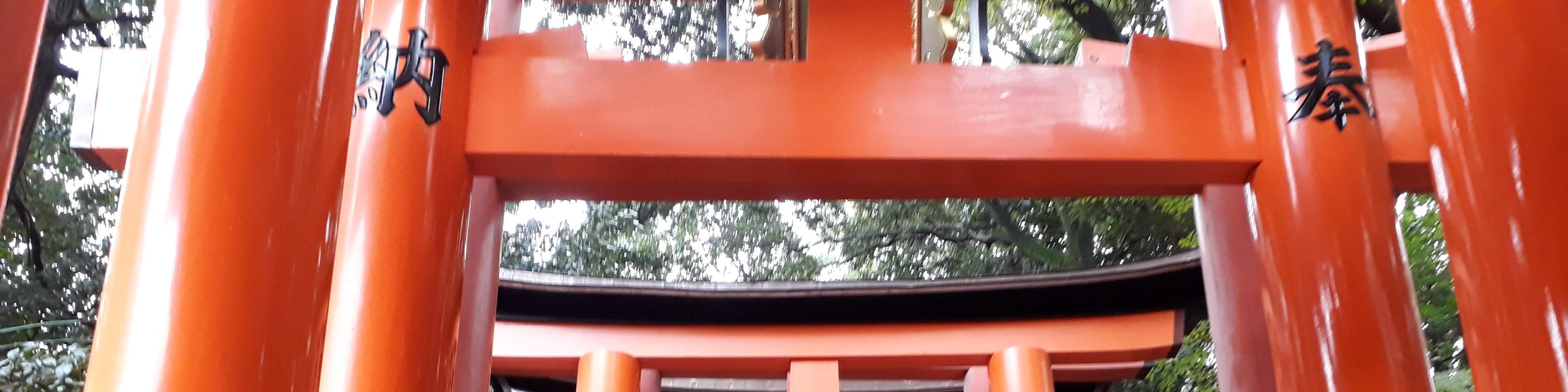 Kyoto Fushimi Inari Taisha Small Group Tour Walking Tour - Klook