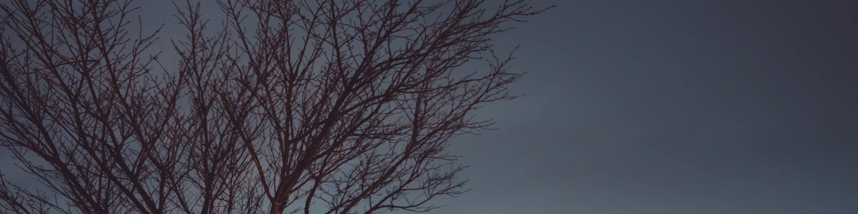 Busan Night Small Group Photo Tour - Klook