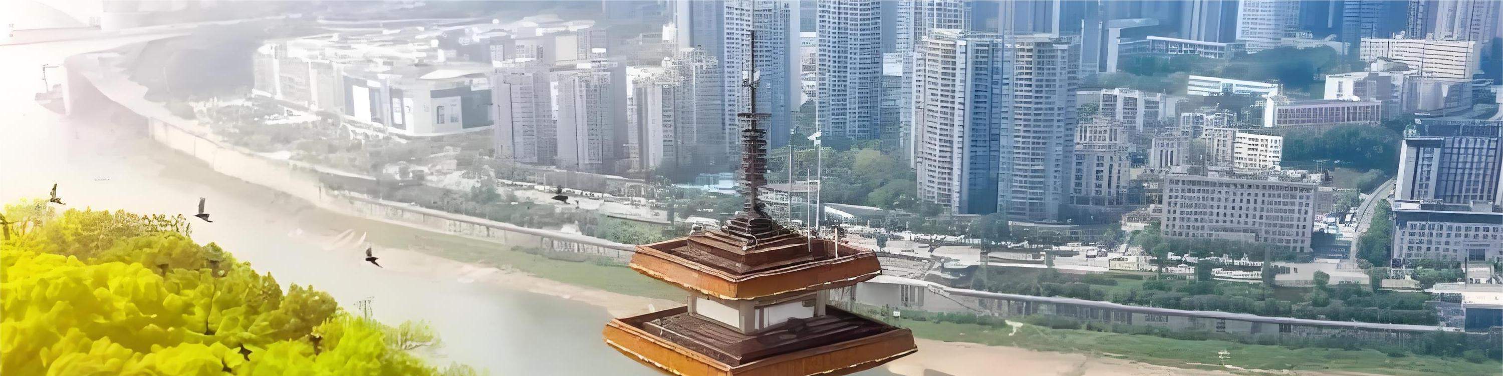 Chongqing Private Guided Day Tour Three Gorges Museum General Stilwell ...