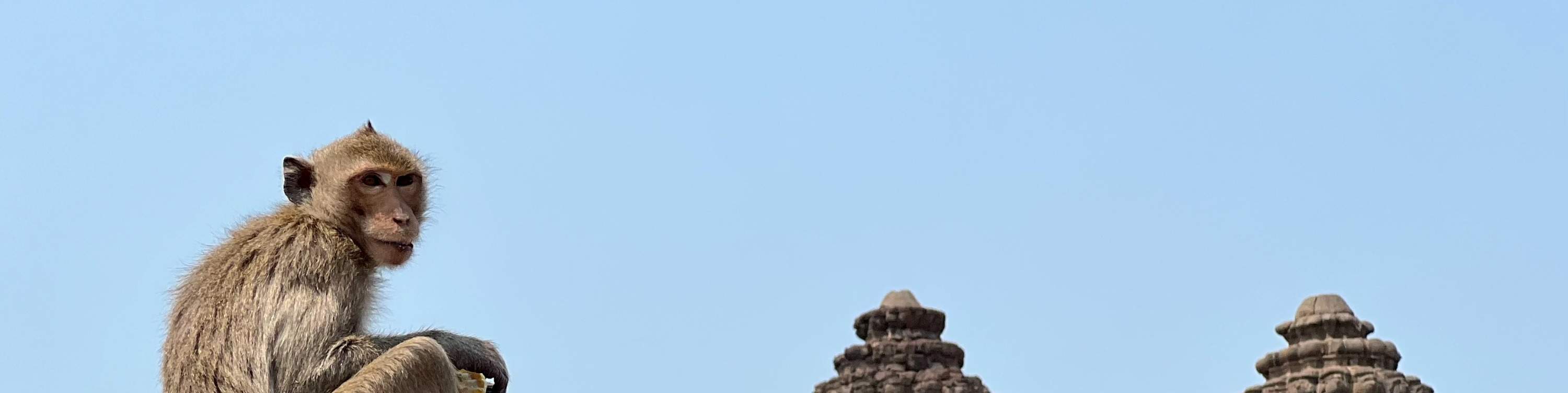 Group Lopburi Tour From Bangkok With Monkey & Cave Temple & Ig Cafe in ...