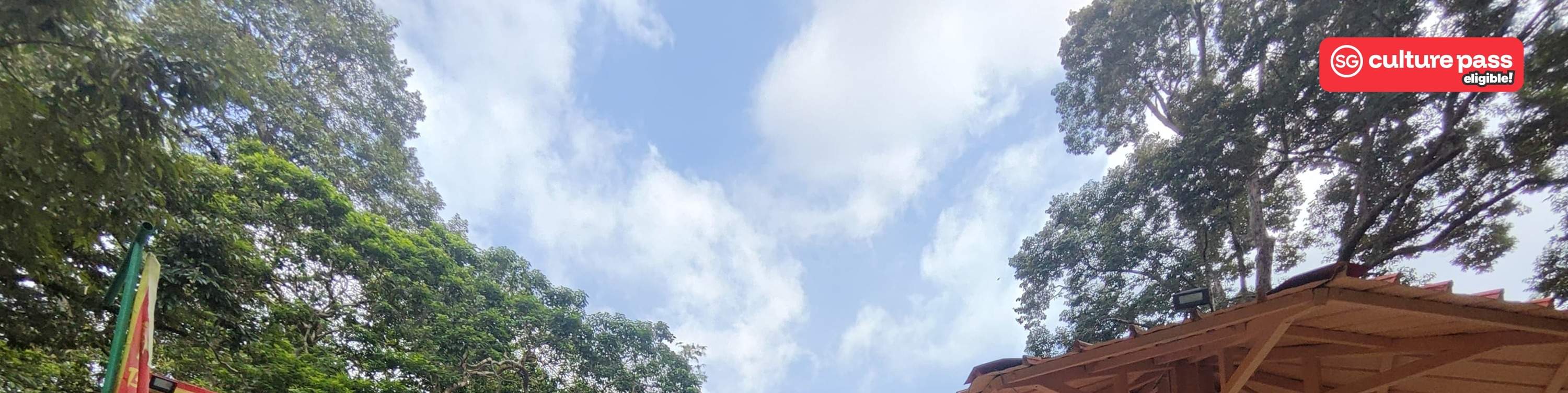 Pulau Ubin Seafood Lunch and Chek Jawa Tour - Klook Singapore