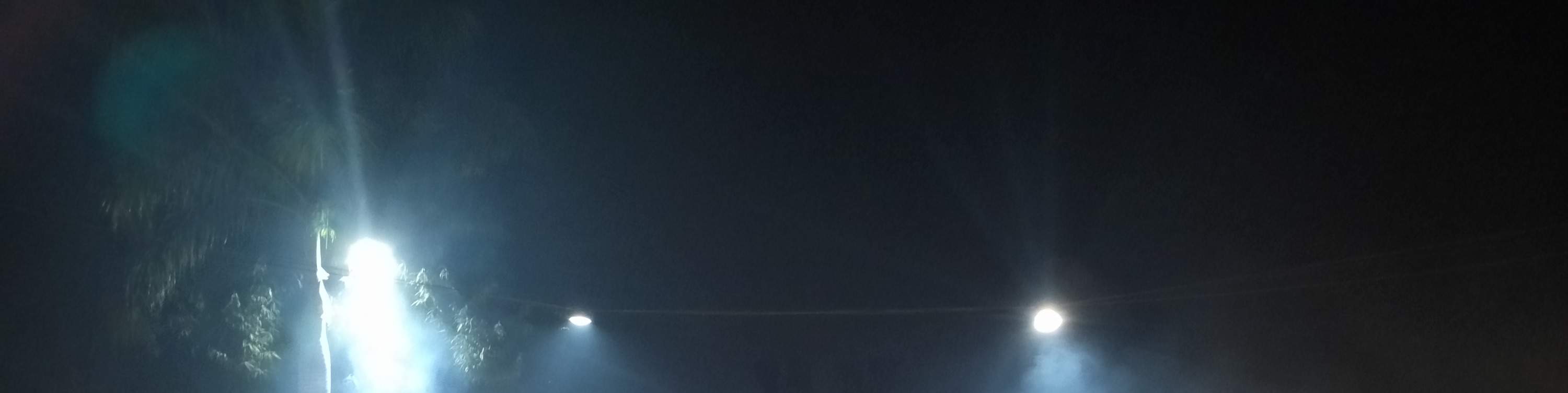 3 Days Exciting Jungle Safari Tour from Kathmandu/Pokhara - Klook