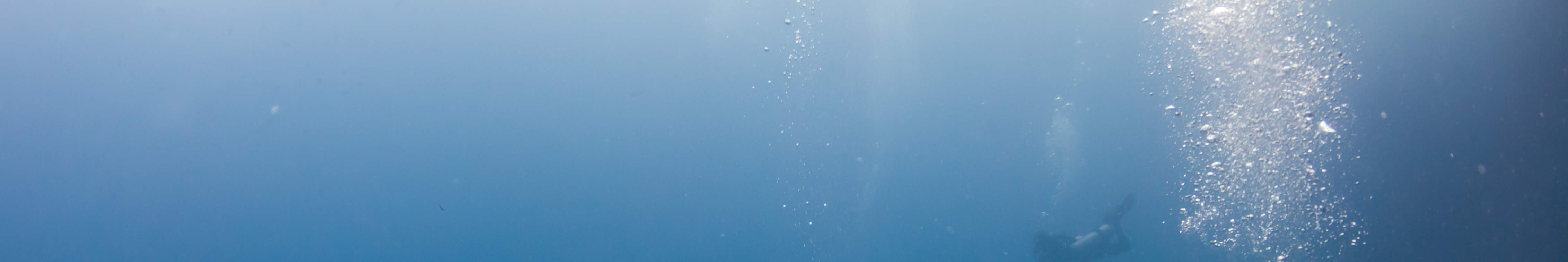 Try Scuba Diving in Koh Phangan with PADI 5 Star IDC Resort - Explore ...