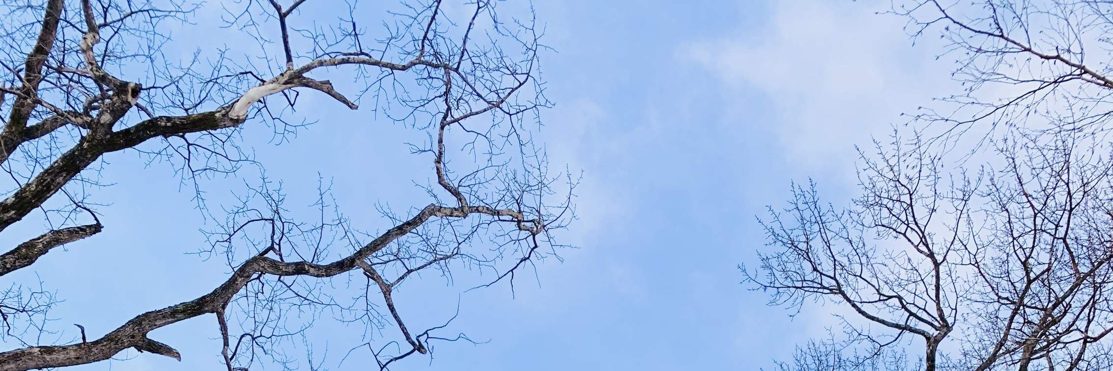 Monbetsu Icebreaker & Asahiyama Zoo & Sounkyo Ice Waterfall Festival 2 ...