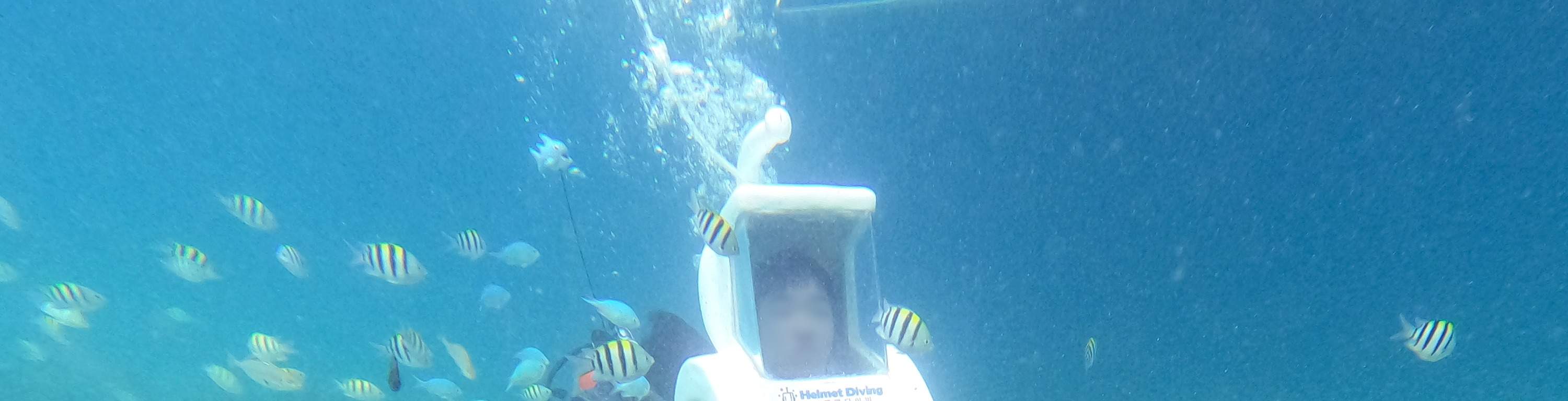 Explore Underwater Wonders: Cebu Helmet Dive Experience with Sea ...