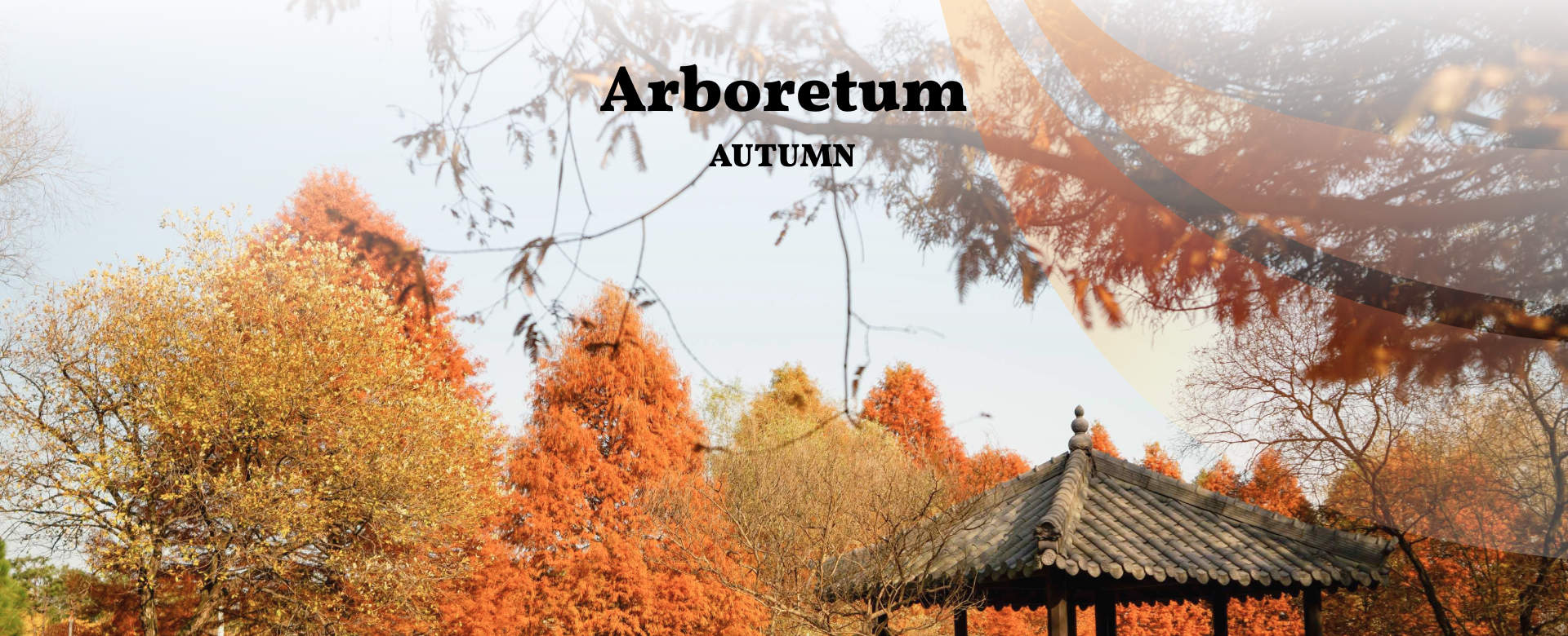 Jeonju Hanok Village & Seasonal Popular Attractions Day Tour - Klook