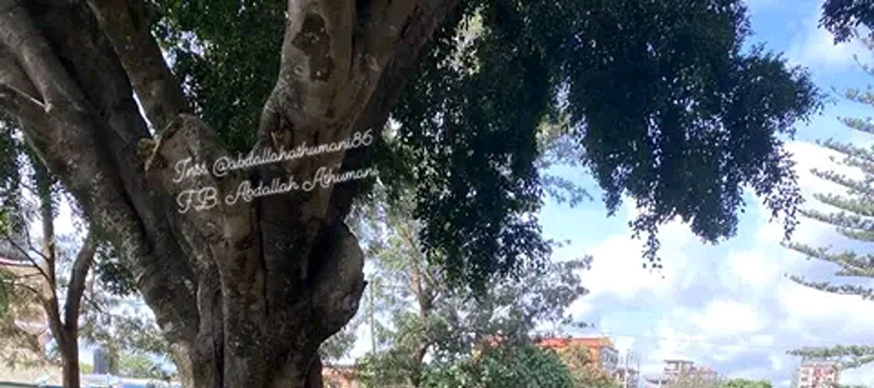 Arusha: City Walking Tour Historic And Modern Highlights. - Klook ...