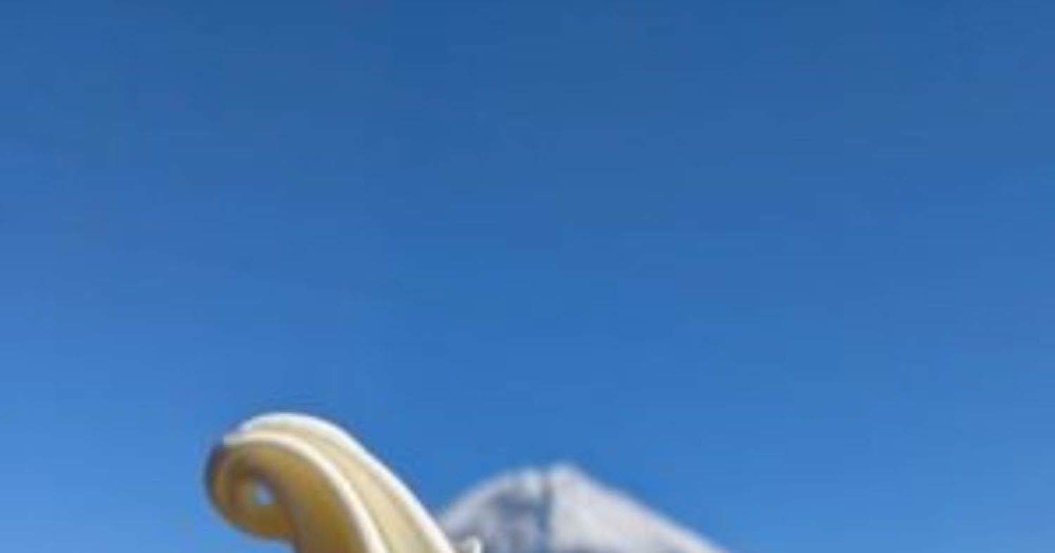 Great Views of Mt. Fuji and Autumn Leaves 1Day Tour dari Nagoya - Klook ...