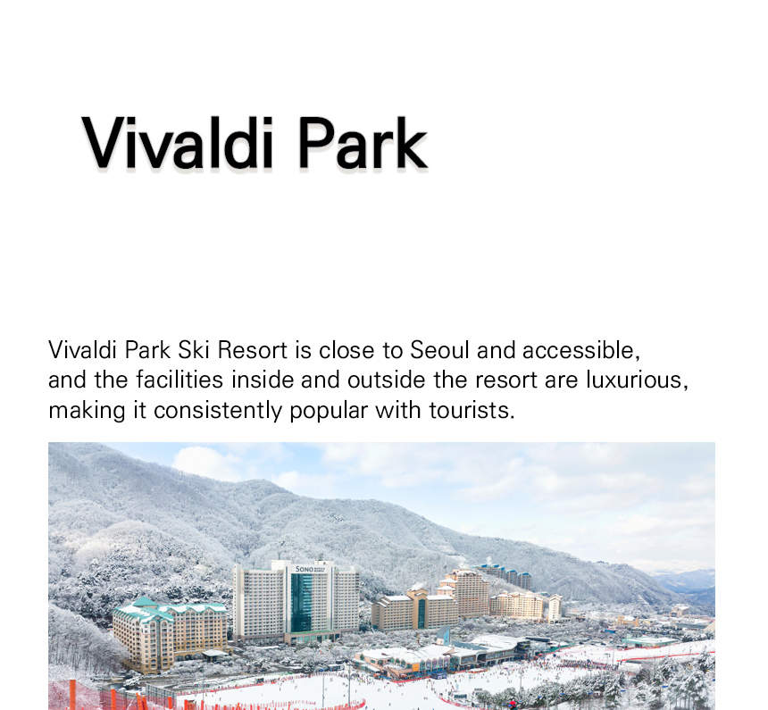 Vivaldi Park Ski & Snowboard Private Lesson - Klook