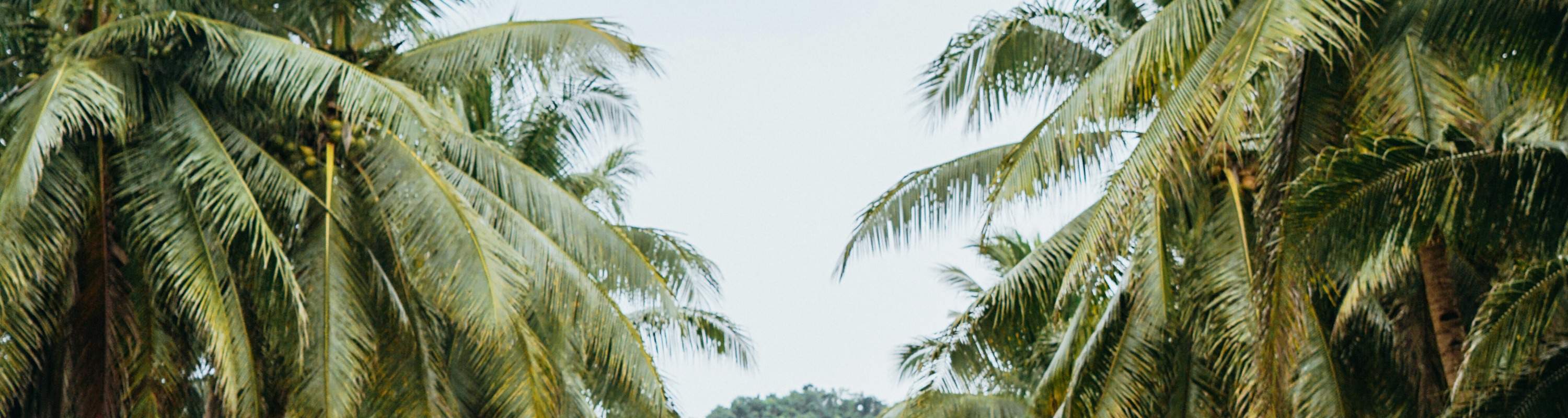 Budget Siargao Land Tour - Klook Philippines