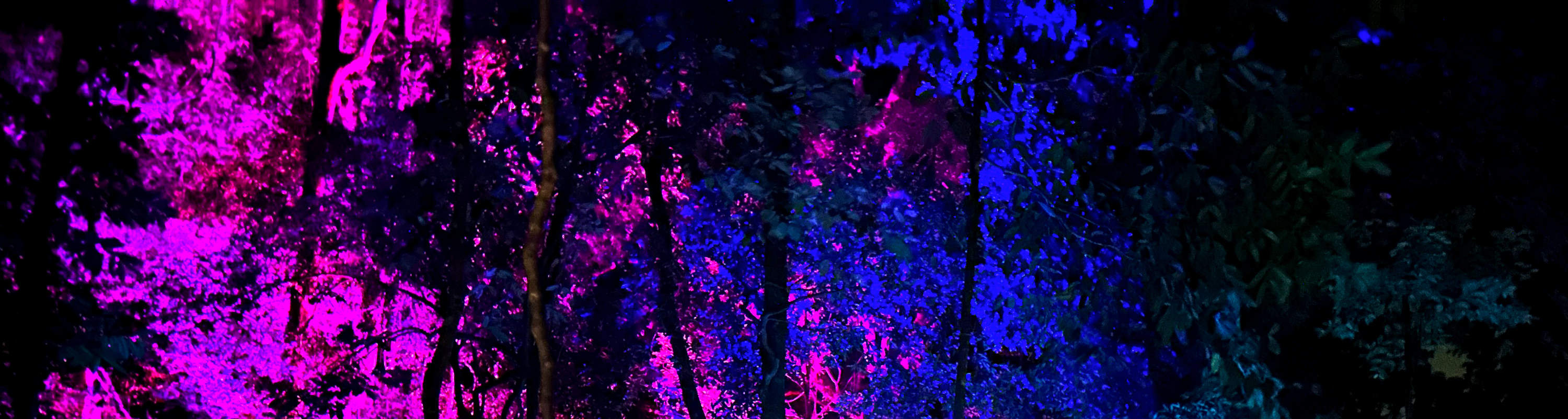 Dream Forest Langkawi Ticket - Klook Canada