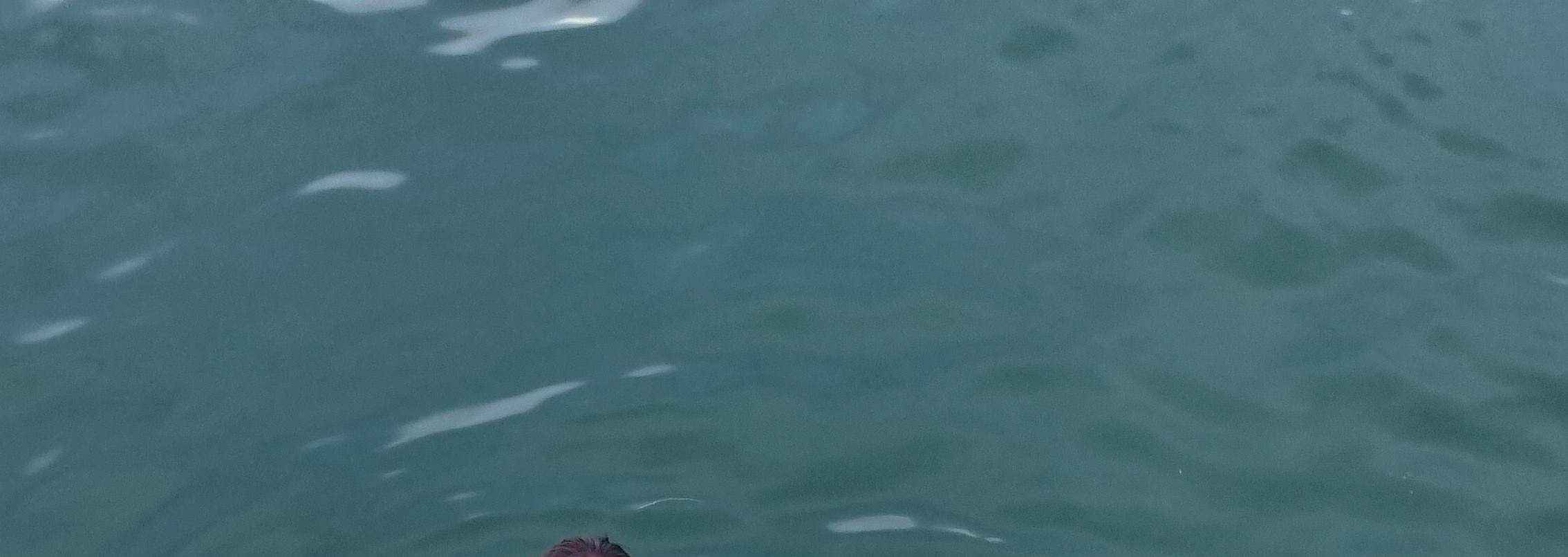 Magical Moments: Sunrise or Sunset Kayaking with Snorkeling Experience ...