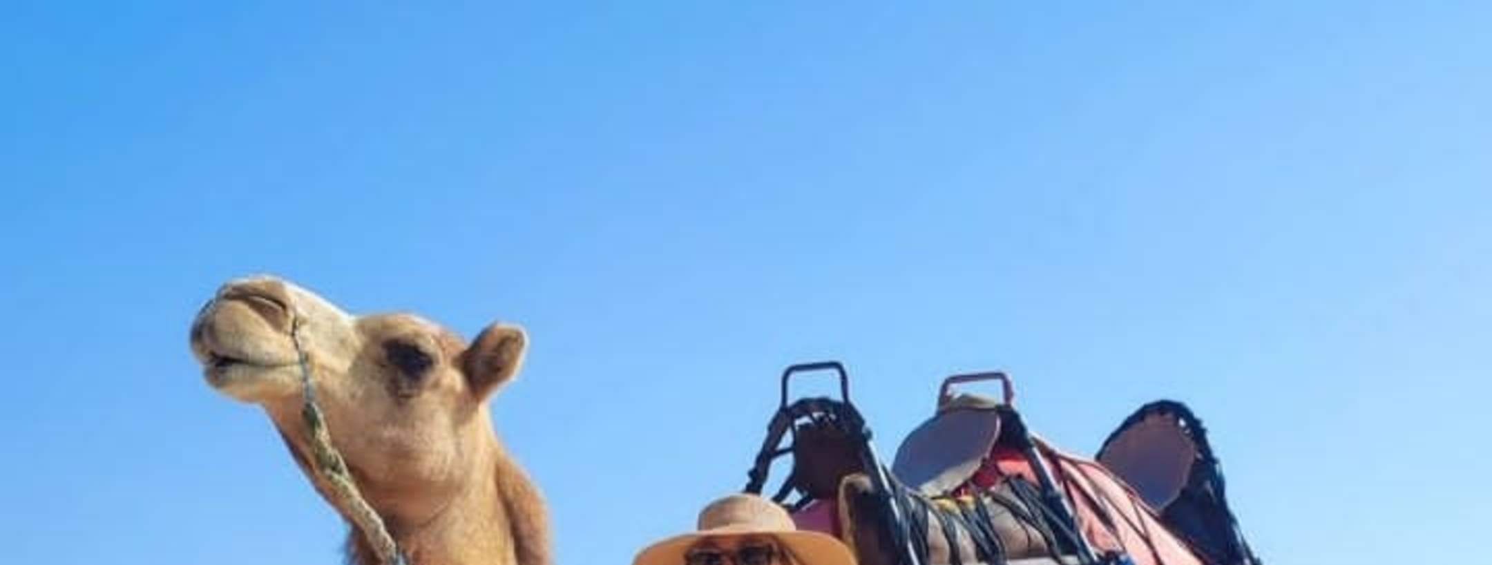 Camel Ride Experience in Bali - Klook Australia