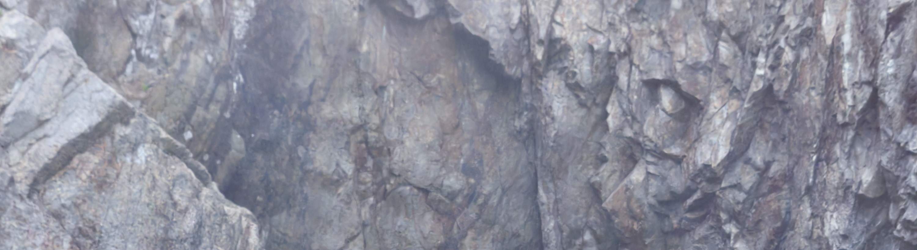 Hong Kong Tung Lung Island Kayak Tour to Explore the Unique Cave ...