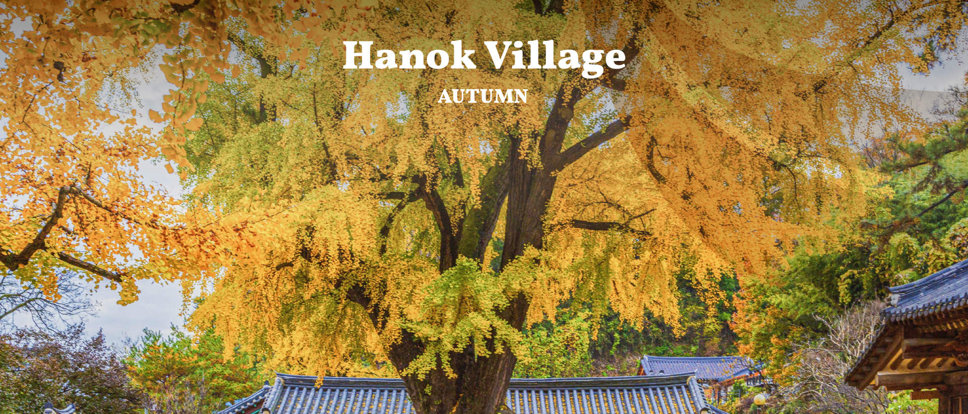 Jeonju Hanok Village & Seasonal Popular Attractions Day Tour - Klook ...