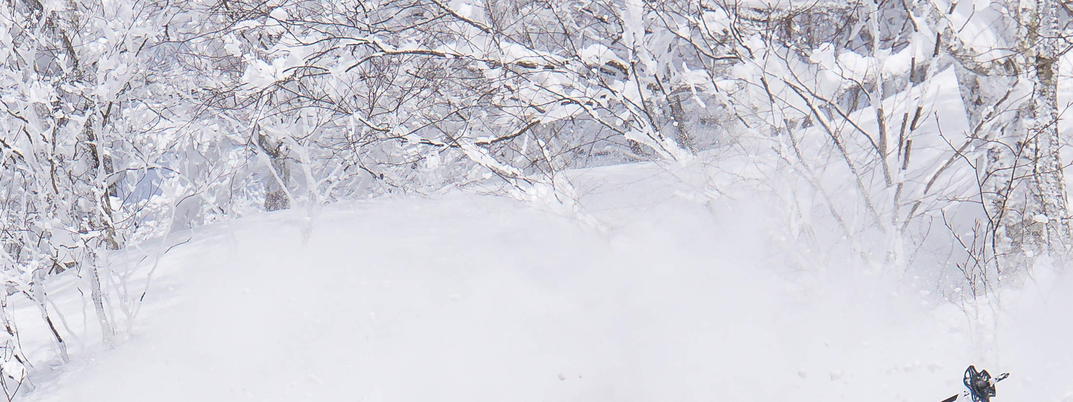 4 Hour Private Ski or Snowboard Lesson in Shiga Kogen - Klook