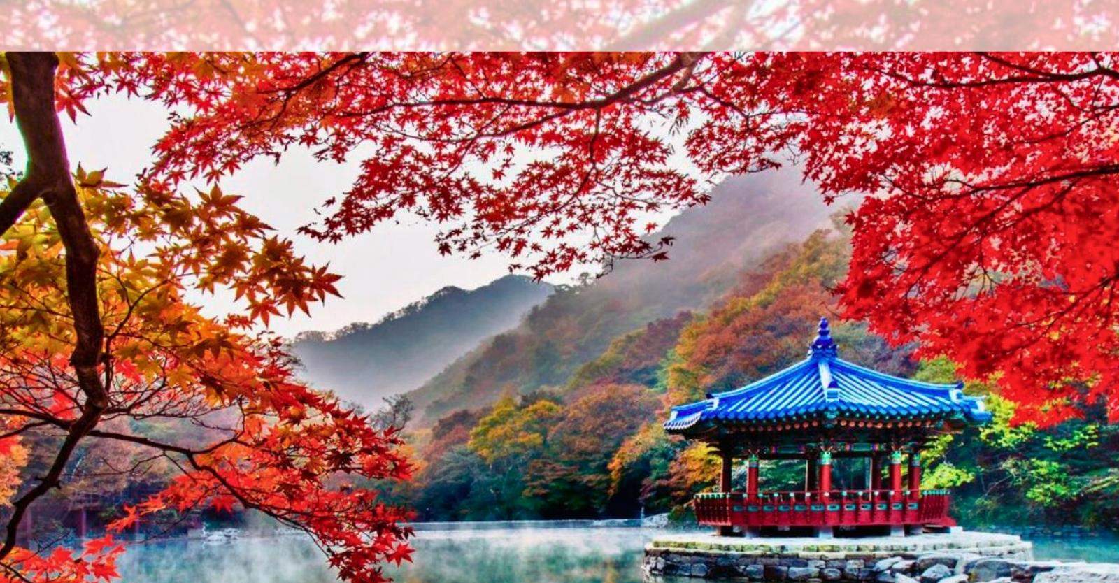 Excursion d'une journée d'appréciation de l'érable de la montagne ...