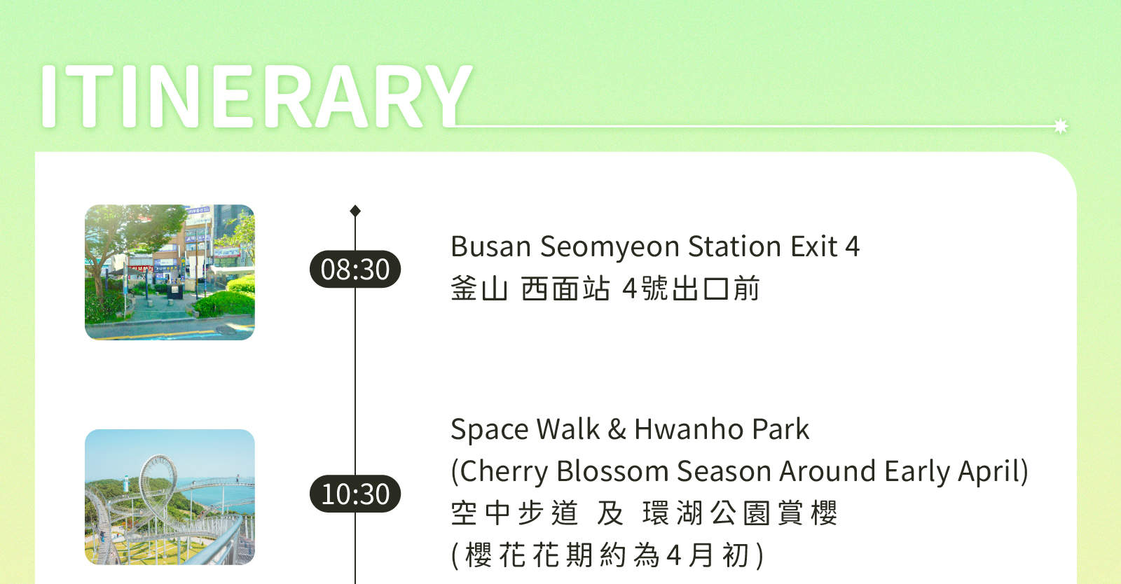 Pohang Space Walk x Cherry Blossom, Guryongpo, Homigot Canola Flower ...