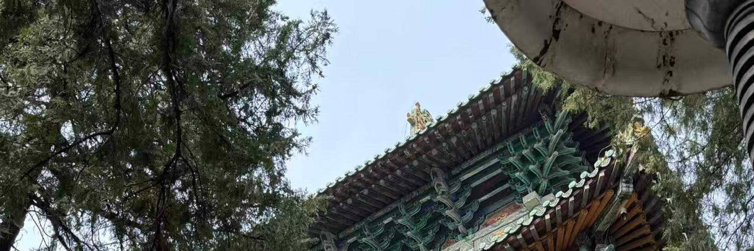 One-Day Shaolin Temple Tour in Luoyang, Henan: Trace a Thousand-Year ...
