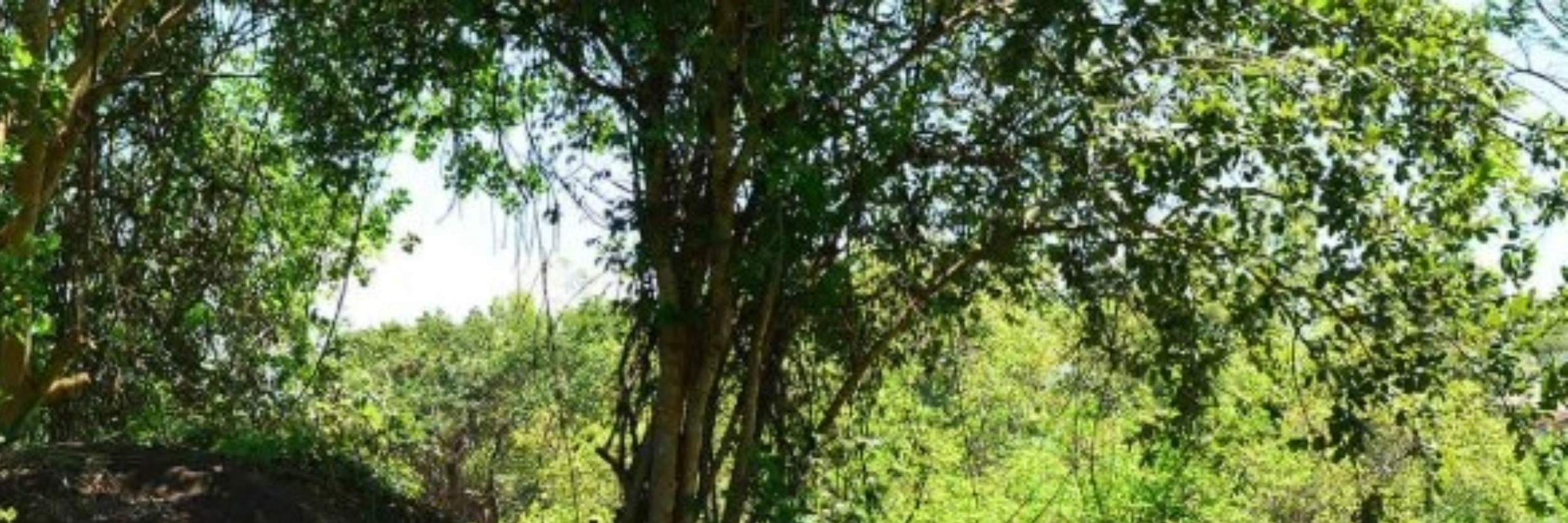 2 Days Ziplining, Kayaking, Waterfall Jump, and Riverside Camping ...