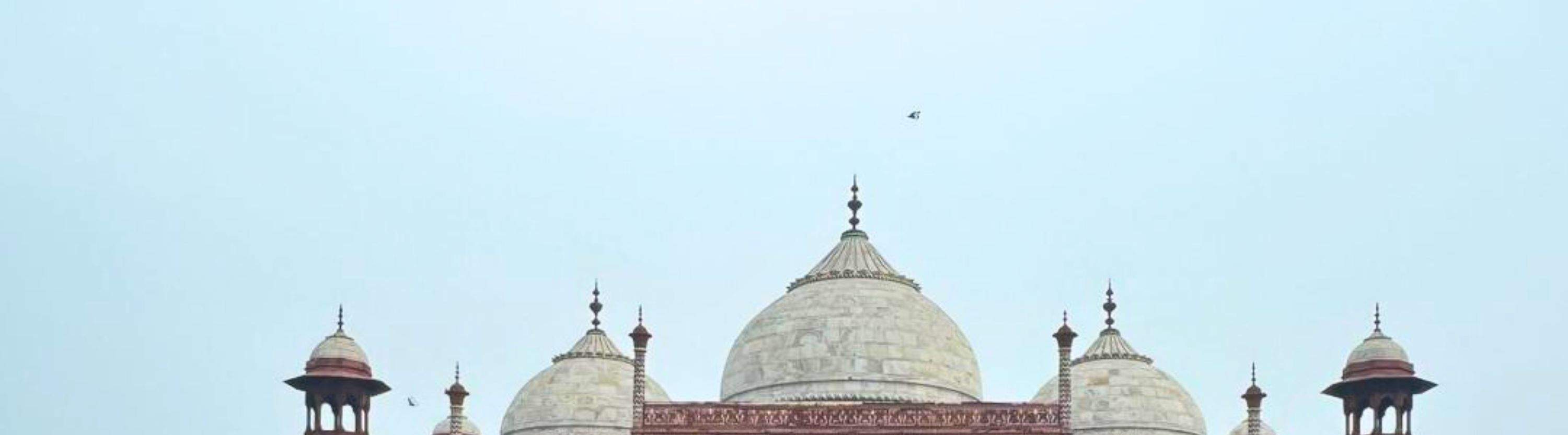 Agra Tour with Elephant conservation From Delhi with Options - Klook