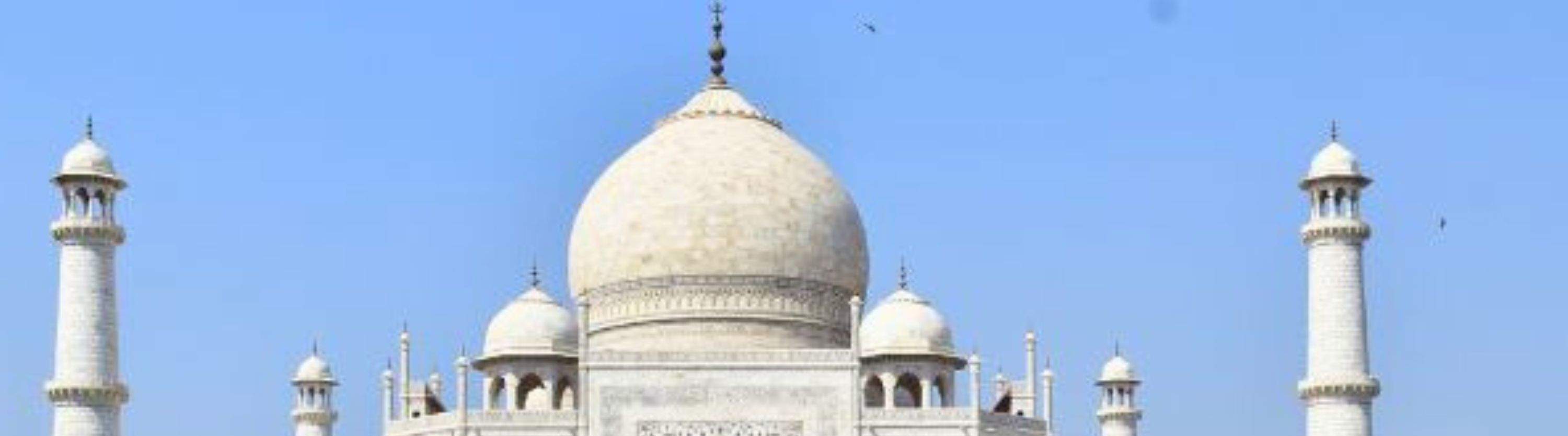 Agra Tour with Elephant conservation From Delhi with Options - Klook