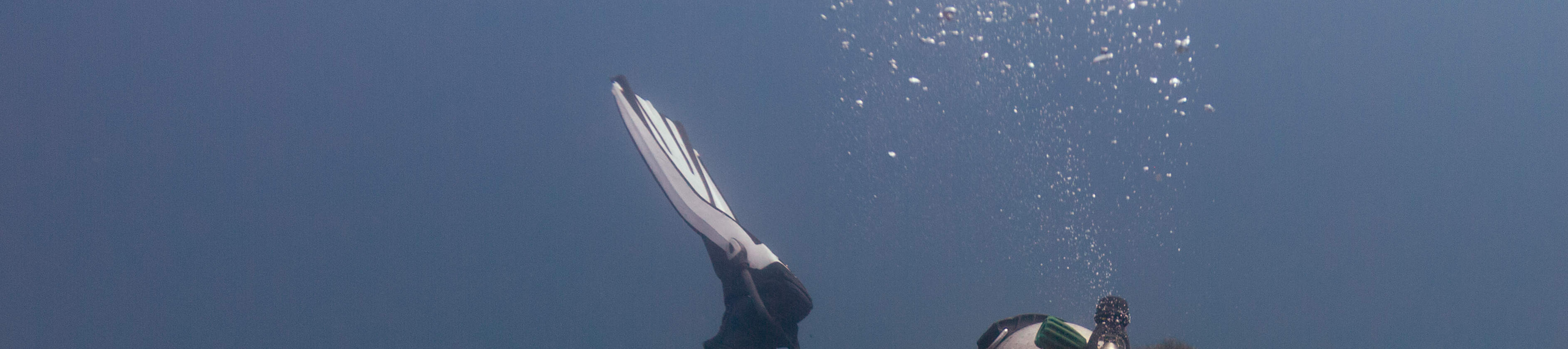 Learn to Dive with PADI AOW Diver Certification in Koh Phangan at PADI ...