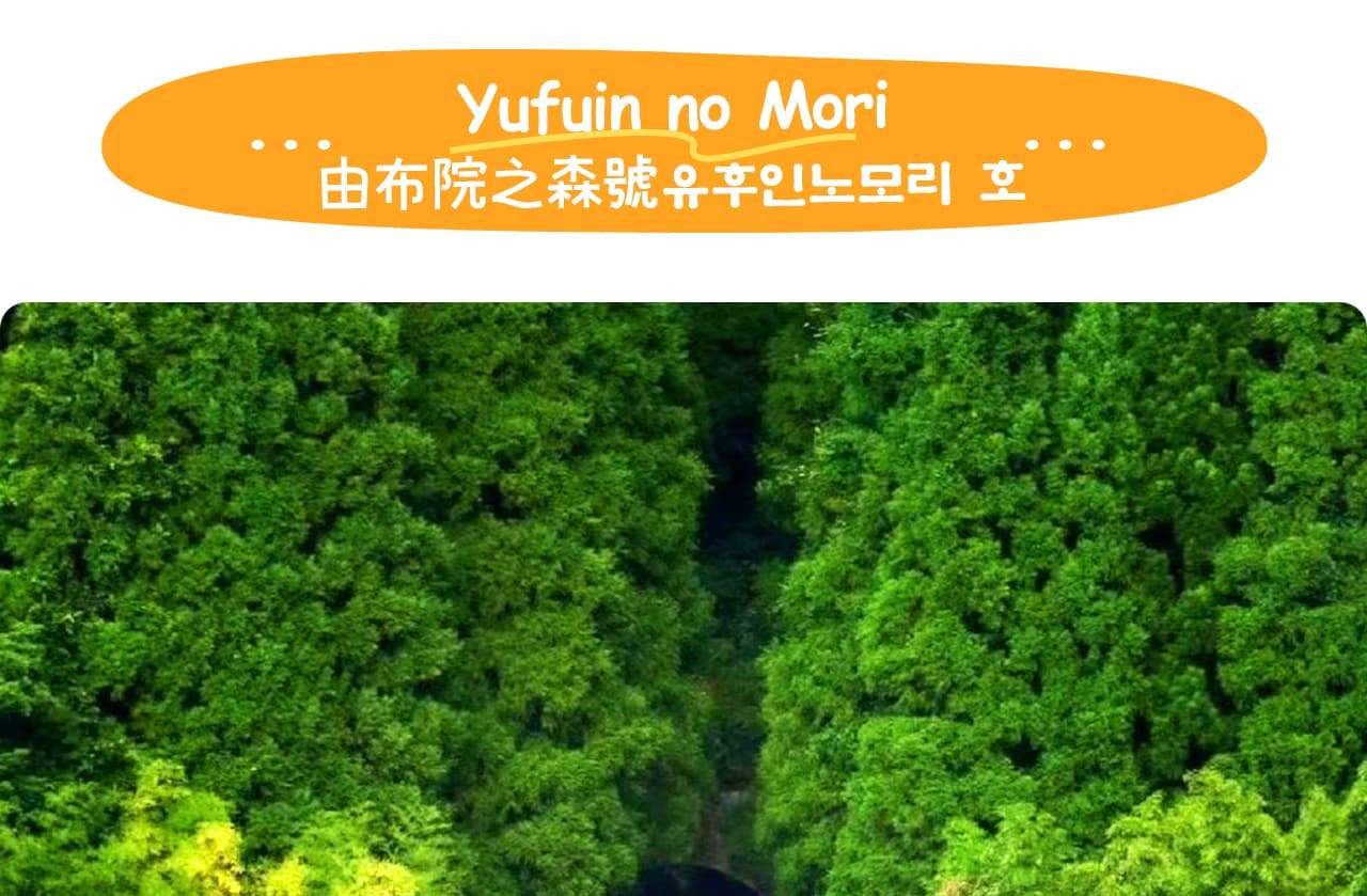 Kyushu | Yufuin no Mori Sightseeing Train & Yufuin Town & Yufuin Floral ...
