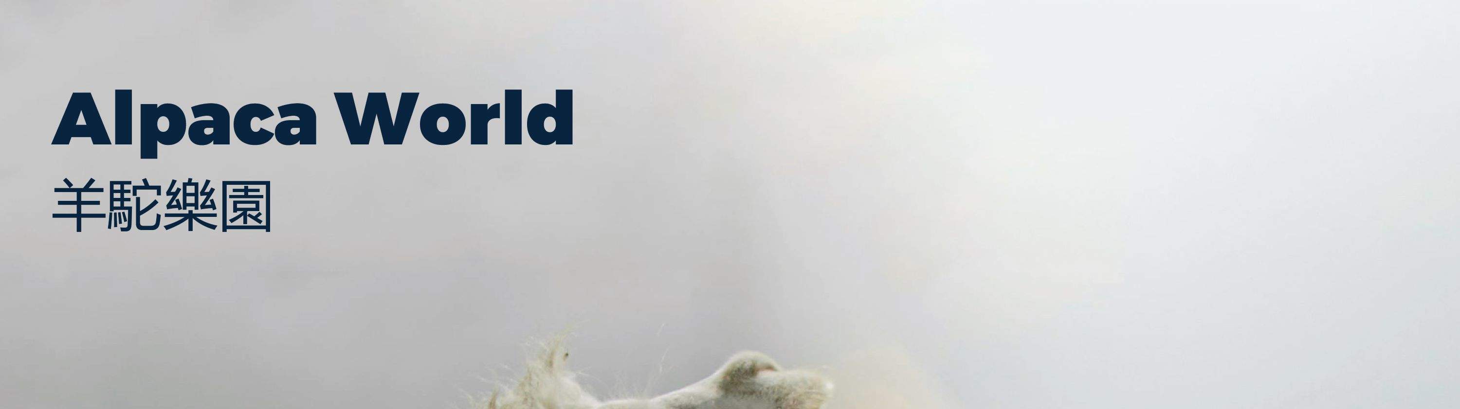 Nami Island & Eobi Ice Valley & Panorama Field & Morning Calm Tour - Klook