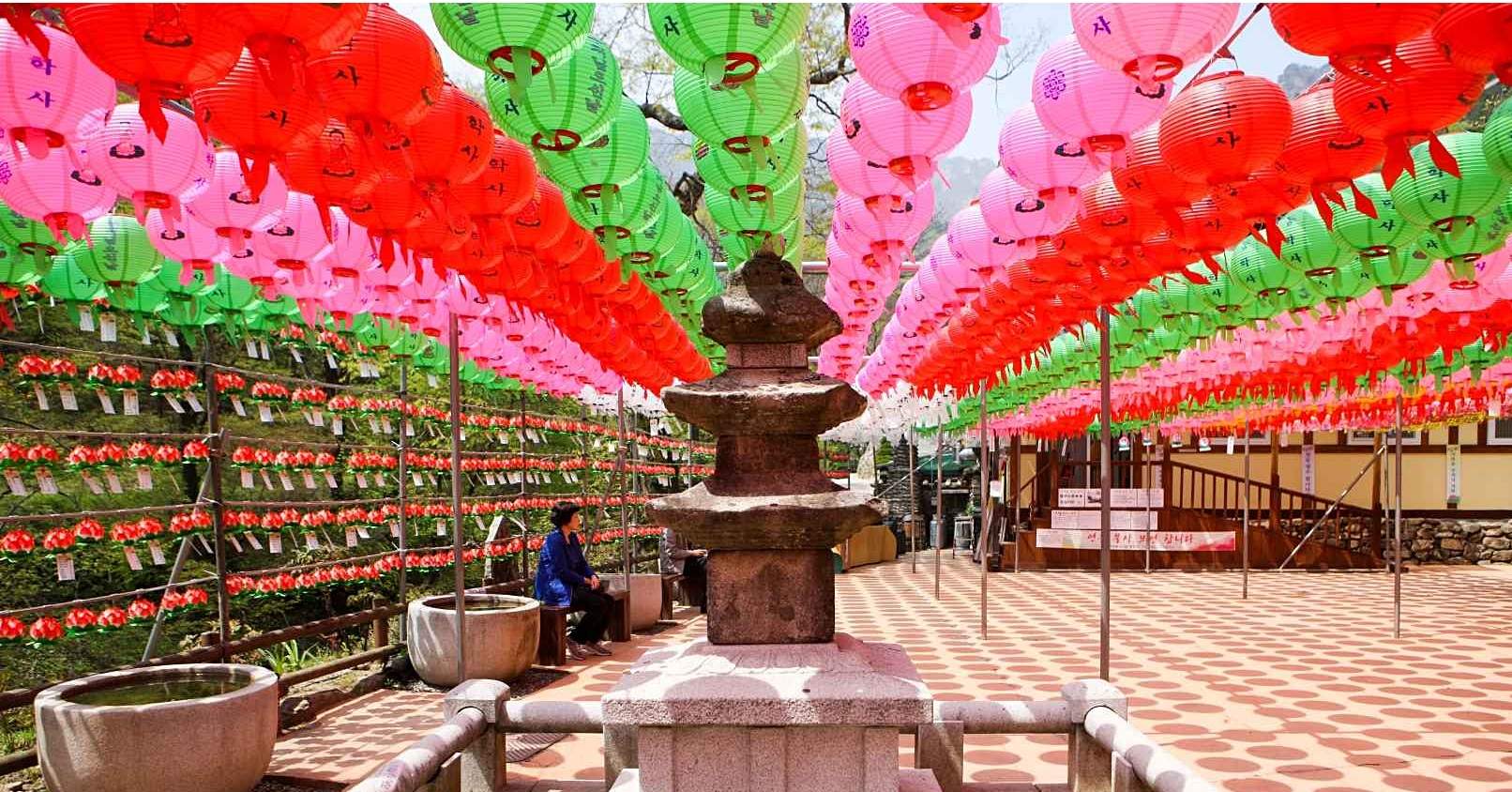 Korea Cherry Blossom Tour from Seoul - Klook