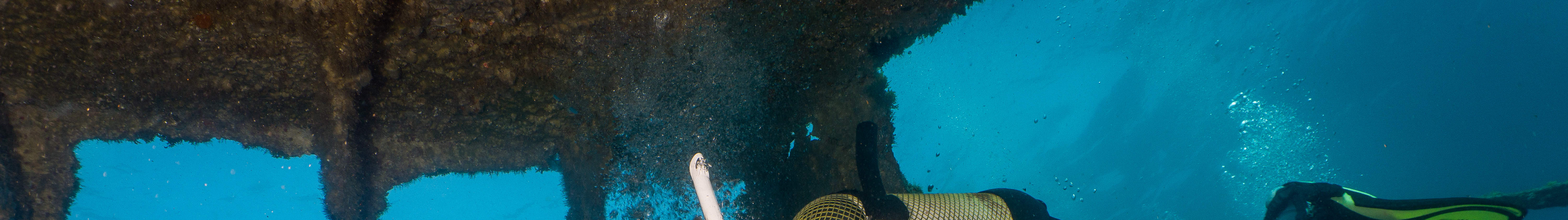 Forfait 4 plongées (en bateau) aux îles Canaries avec PADI 5 Star IDC ...