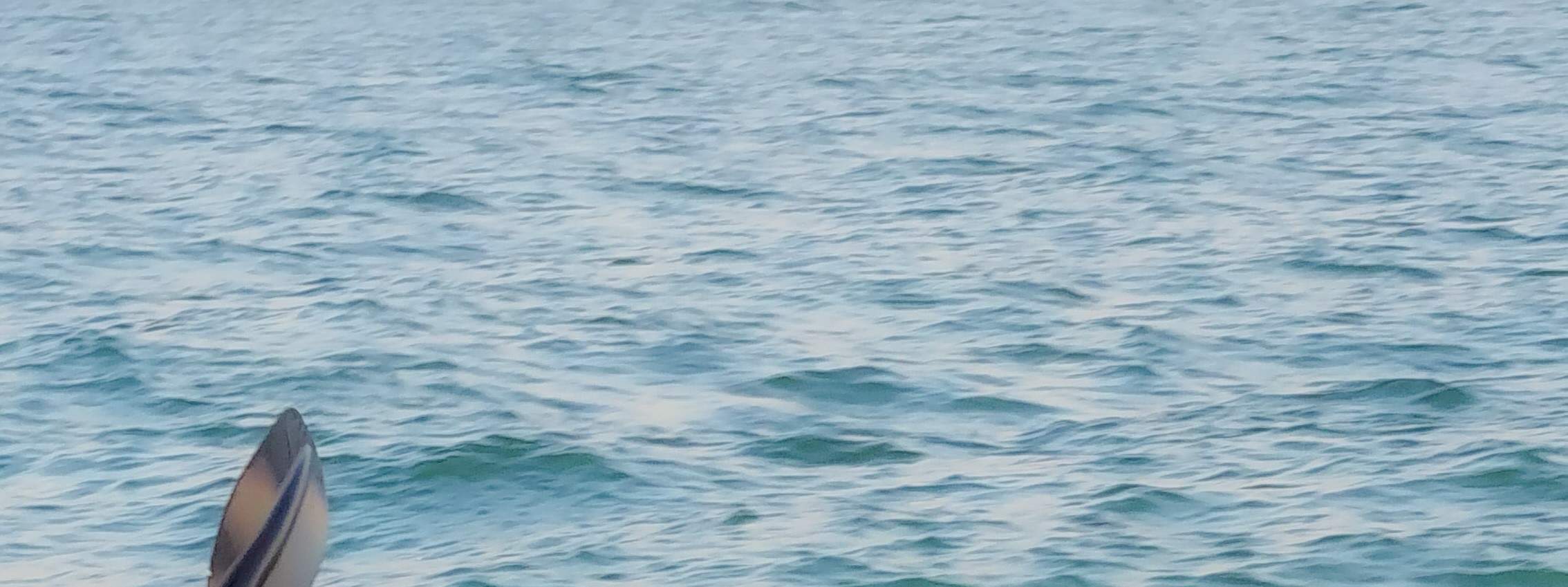 Magical Moments: Sunrise or Sunset Kayaking with Snorkeling Experience ...