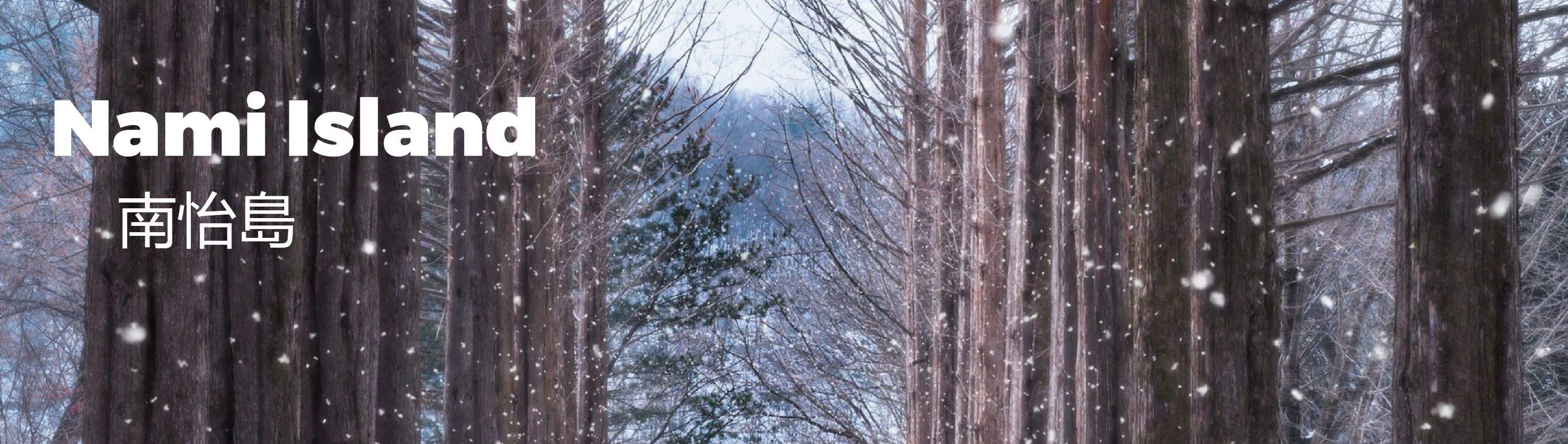 Nami Island & Eobi Ice Valley & Panorama Field & Morning Calm Tour - Klook