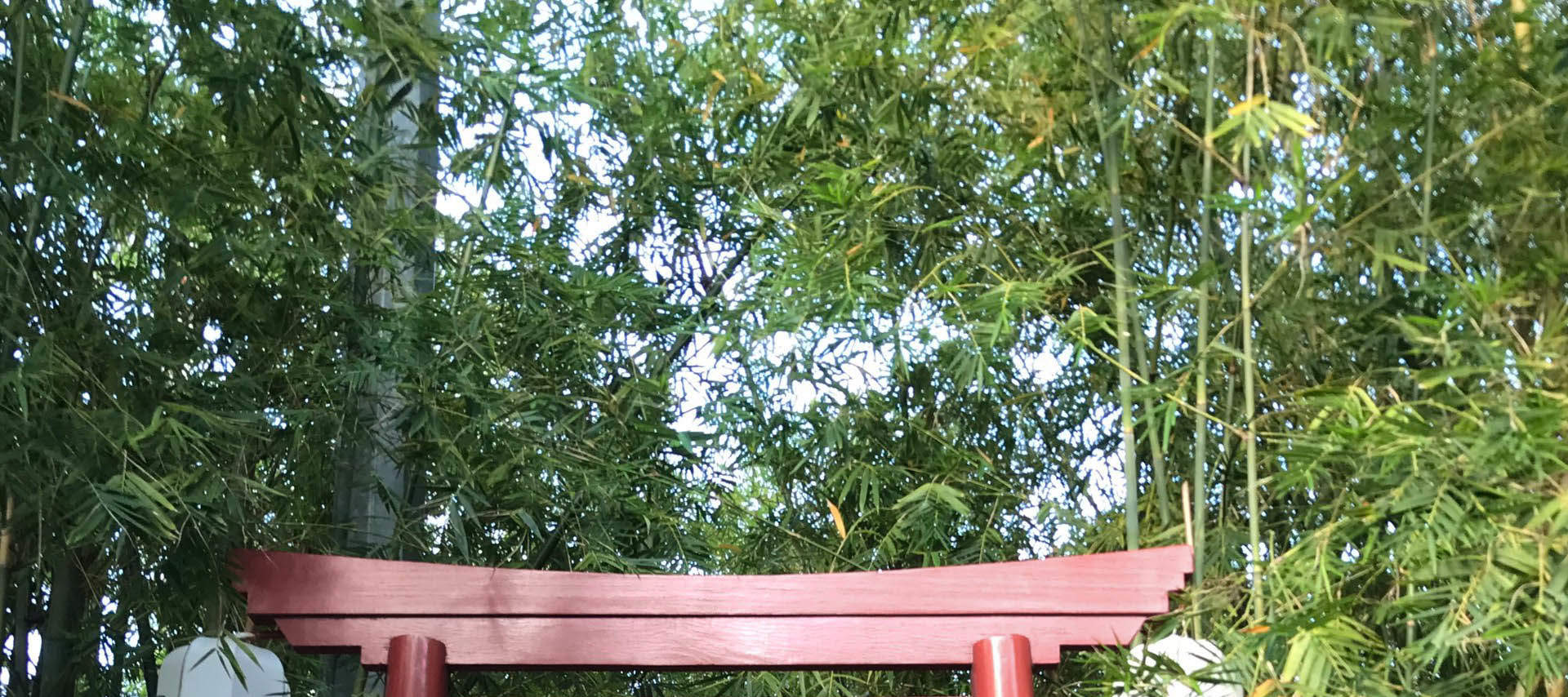 Da Nang Nightlife, Sun Wheel Ride and Dinner from Da Nang - Klook