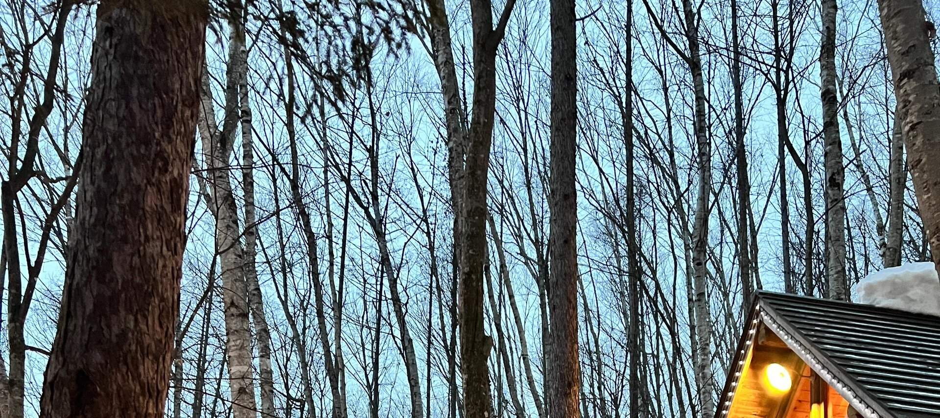 One-day tour of Hokkaido's popular attractions (Asahikawa Zoo ...